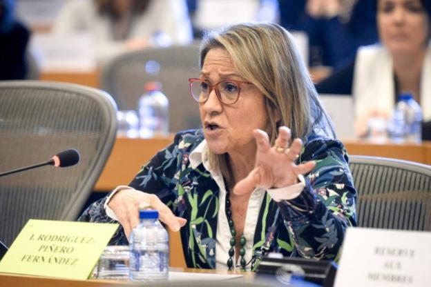 El PSPV apuesta por Rodríguez-Piñero y no por Montón para el Parlamento ...