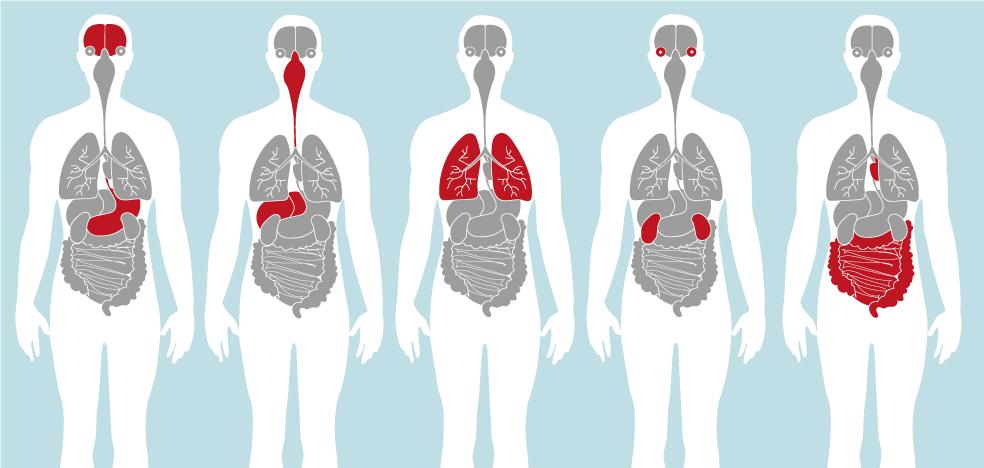 Síntomas del coronavirus: cómo saber si tengo la covid-19 | Las Provincias