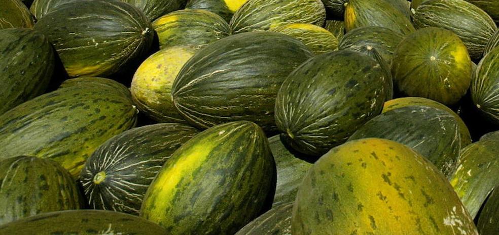 Melón | Desvelado el secreto del origen de los melones Carrefour | Las ...